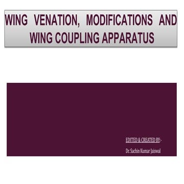 Insect wing, their modifications and wing coupling mechanism | PPTX