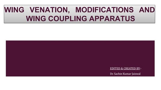 Insect wing, their modifications and wing coupling mechanism | PPTX ...