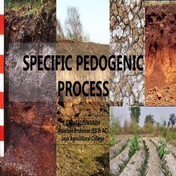 pedogenic processes-ppt 604.ppt