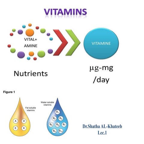 Lec.1 vitamin Fat soluble and water soluble, nutrients 2025.pptx