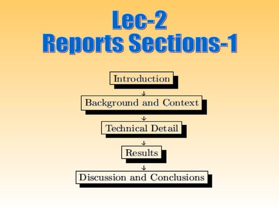 Interim report template | DOC