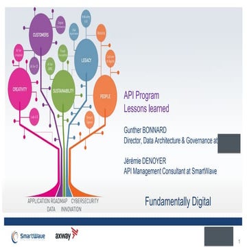 Api Program Lessons Learned Ppt 