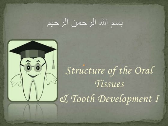 Development of tooth | PPTX | Dental Health | Diseases and Conditions