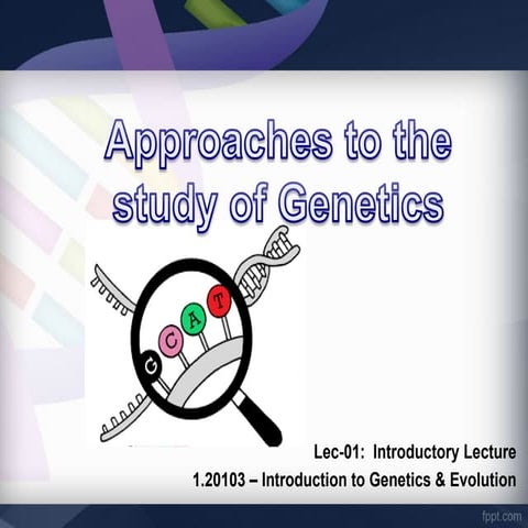 Approaches to the Study of Genetics (genetics and Evolution) | PDF