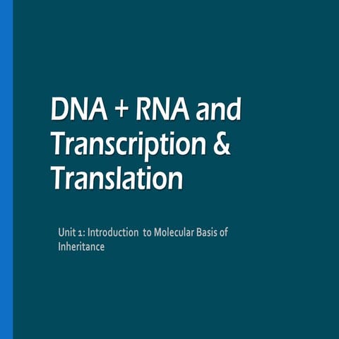 DNA and RNA Transcription and Translation | PPT
