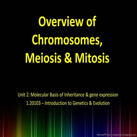 DNA Genes and Chromosomes.ppt