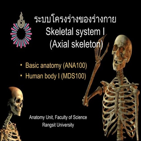 skeletal system | PPT