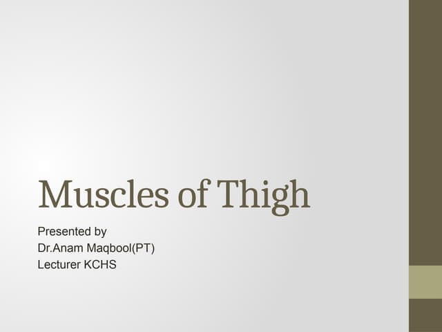 Thigh - Ant.Compartment - Anatomy | PPT