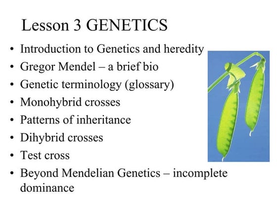 Science 8 4th Qtr Lesson 4 Mendelian Pattern of Inheritance.pptx