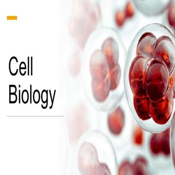 cell biology, cell theory, bacterial cell | PPTX