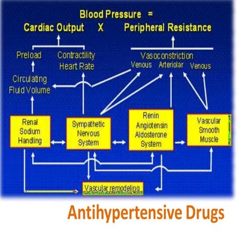 Antihypertensive drugs | PPTX