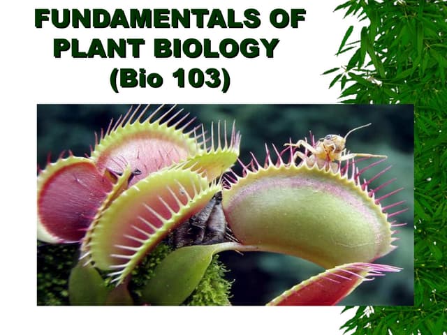 Introduction to botany | PPTX