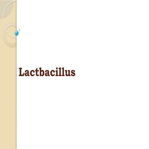 Lec (10) - Lactobacillus lecture note.pptx