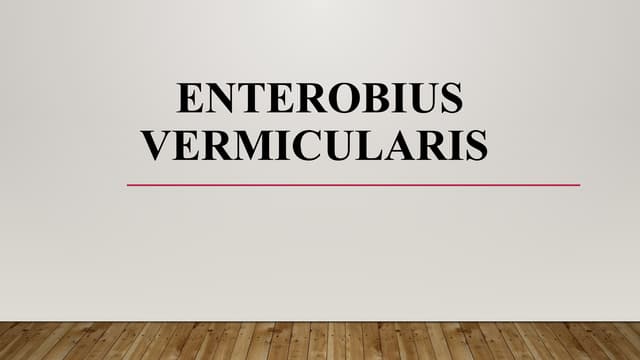 Enterobius vermicularis(PINWORM) | PPTX