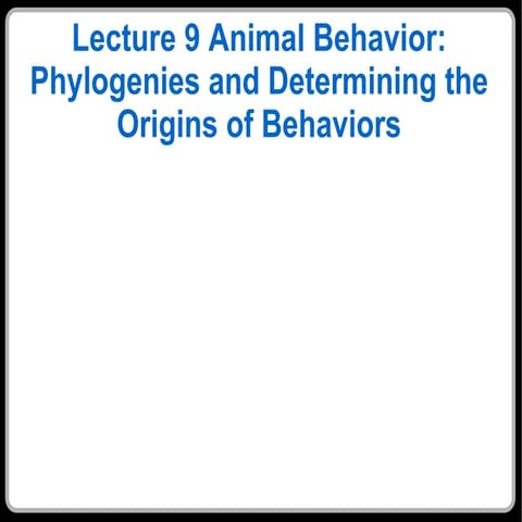 Lec 10 Phylogenies And Origin Of Behaviors | PPT