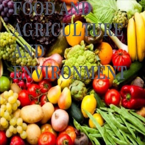 Food and Agriculture and Environment Lec 11 | PPT