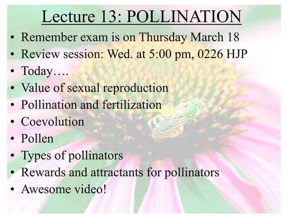 Parts of a flower | PPT