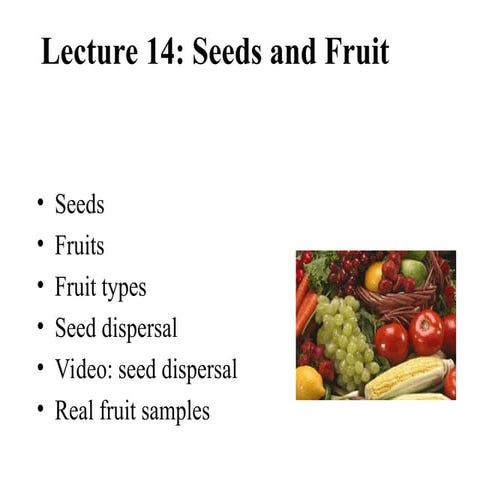 Lesson plan | PDF
