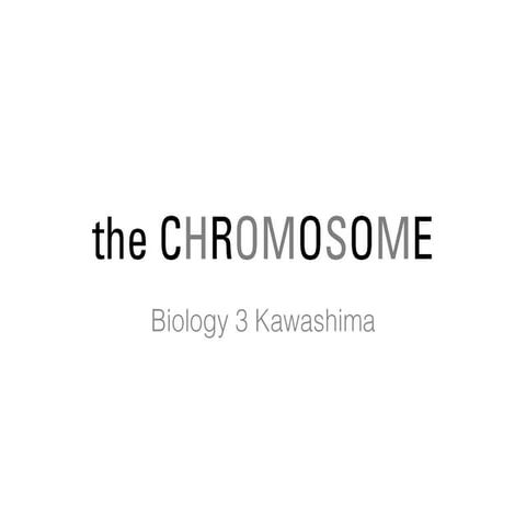 Lec15 Chromosome | PPTX | Genetics | Science