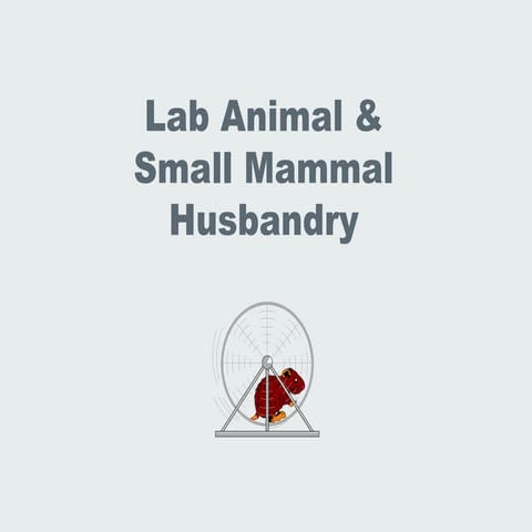 Lec 19 20 Lab Animal Rats Mice | PPT
