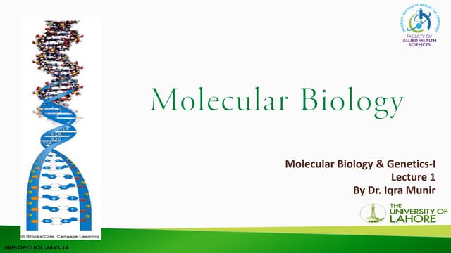 Molecular biology introduction | PPTX