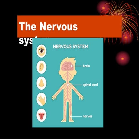 Nervous System Lesson for Grade 6 in Science | PPTX
