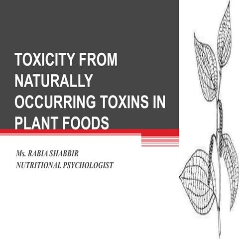 Toxicity from naturally occurring toxins in plant foods | PPTX