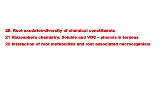 Rhizosphere | PPTX | Gardening | Home & Garden