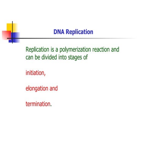 DNA replication | PPT