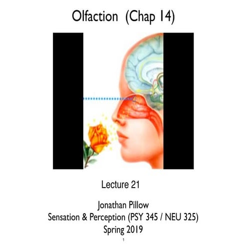 Lec21_Olfaction_Chap14.pdf
