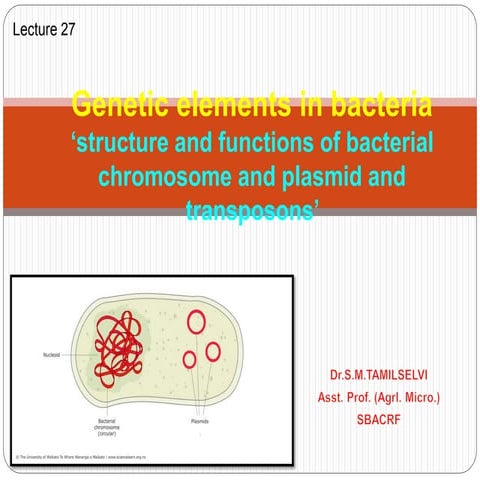 Genetic elements of bacteria - Structures and functions of bacteria chromosomes and plasmid.pptx