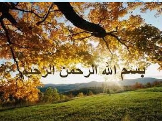 Travis’s illness wellness continuum (rle) | PPTX | Physical Therapy ...