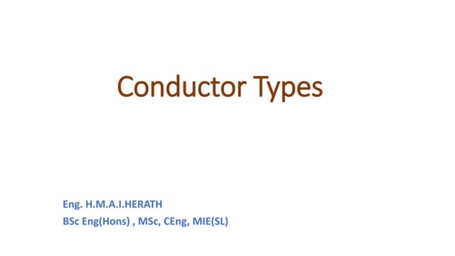 Dog Conductor | DOCX