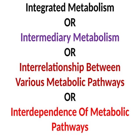lec 2 IUIU Lecture Intergrated Metabolism.pptx