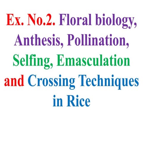 Emasculation, crossing techniques in cereals (Rice, Wheat, Maize) | PPTX