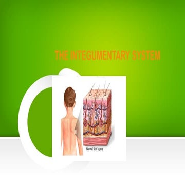 LEC2 THE INTEGUMENTARY SYSTEM_Skin&.pptx