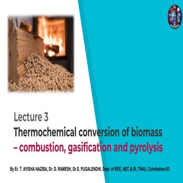 Thermochemical conversion of biomass - Combustion, Pyrolysis and ...
