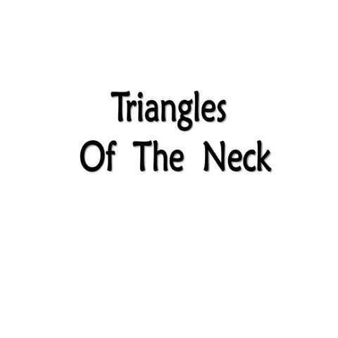 Dry needling Anatomy and physiology of human body | PDF