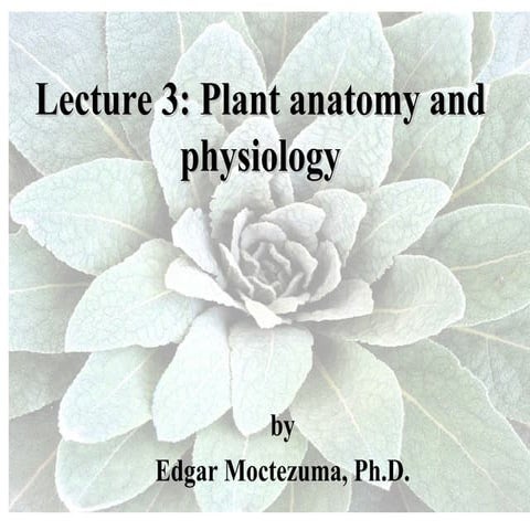 anaphy on plant tissues and its different types and functions | PPT