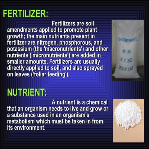 Lec 4 Fertilizer.ppt Fertilizer.ppt ROLE OF STAND ESTABLISHMENT | PPT