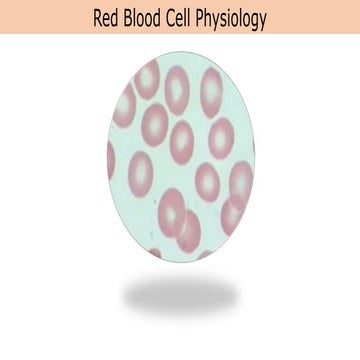 lec_4_hematology_RBCs.pptx