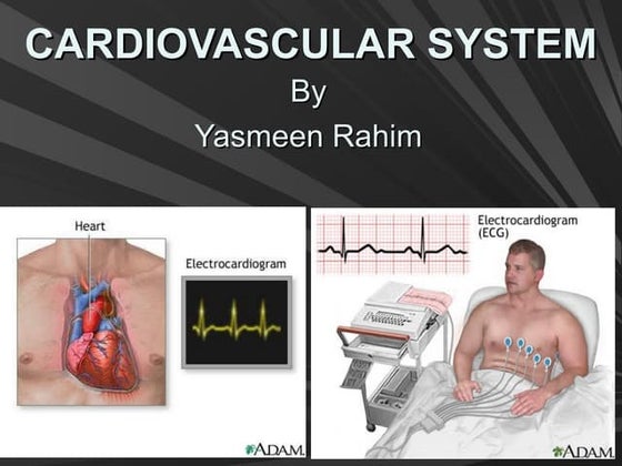 Looping of heart | PPTX
