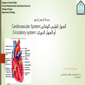 Circulatory System | PPT
