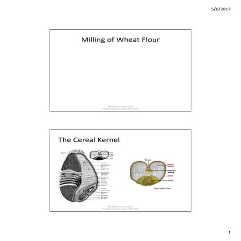 Wheat milling | PPTX