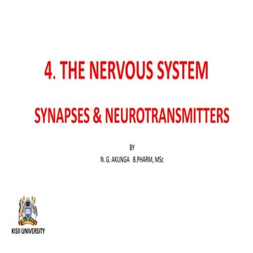 lec 5 NERVOUS SYSTEM_SYNAPSES_PPT_AKUNGA.pptx