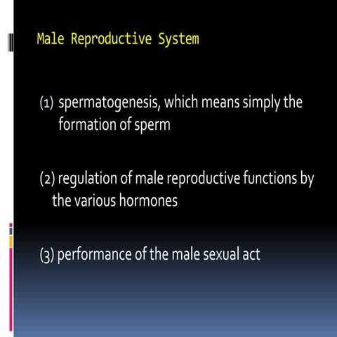 Lec62 (reproductive system male) | PPTX