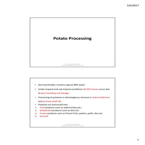 Potato Processing | PDF