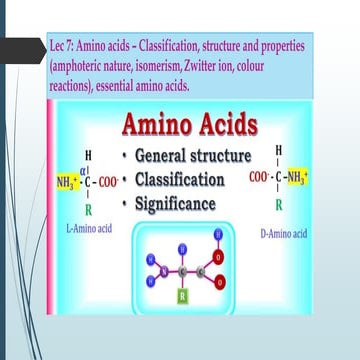 Classification Of Amino Acids Amino Acid Structure And Classifications