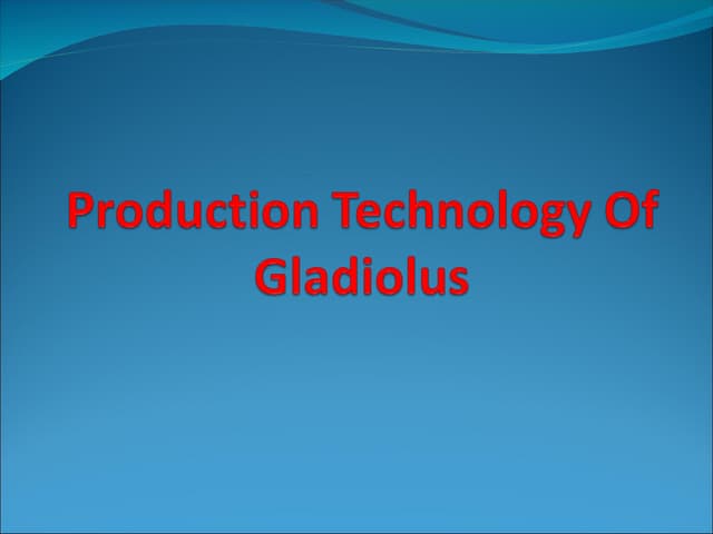 Gladiolus | PPTX