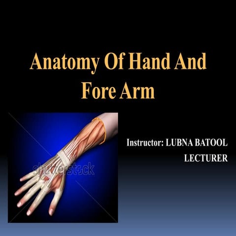 Understanding anatomy of upper limb lecture | PPT